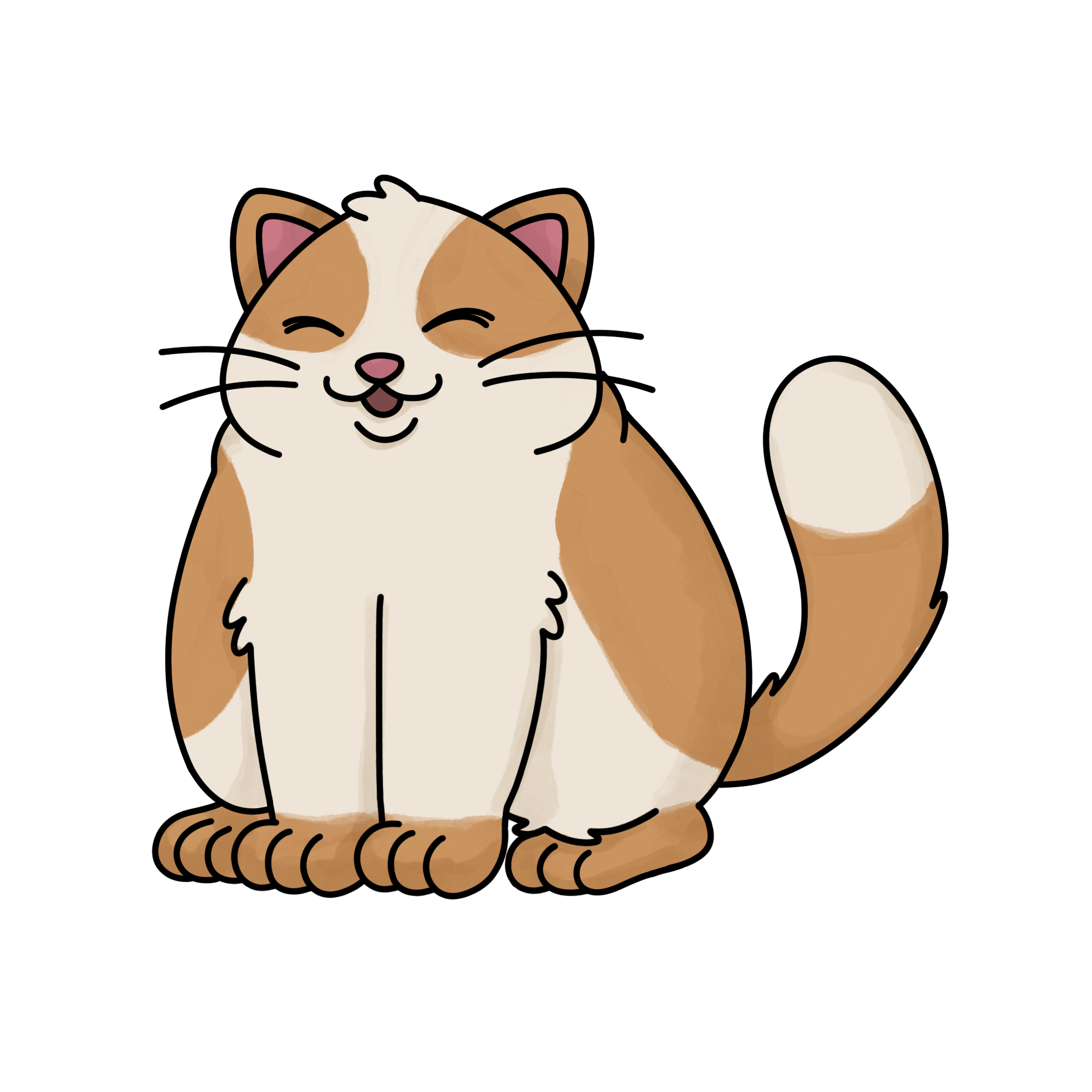 Fat Cat Drawing - Drawing with Dawn