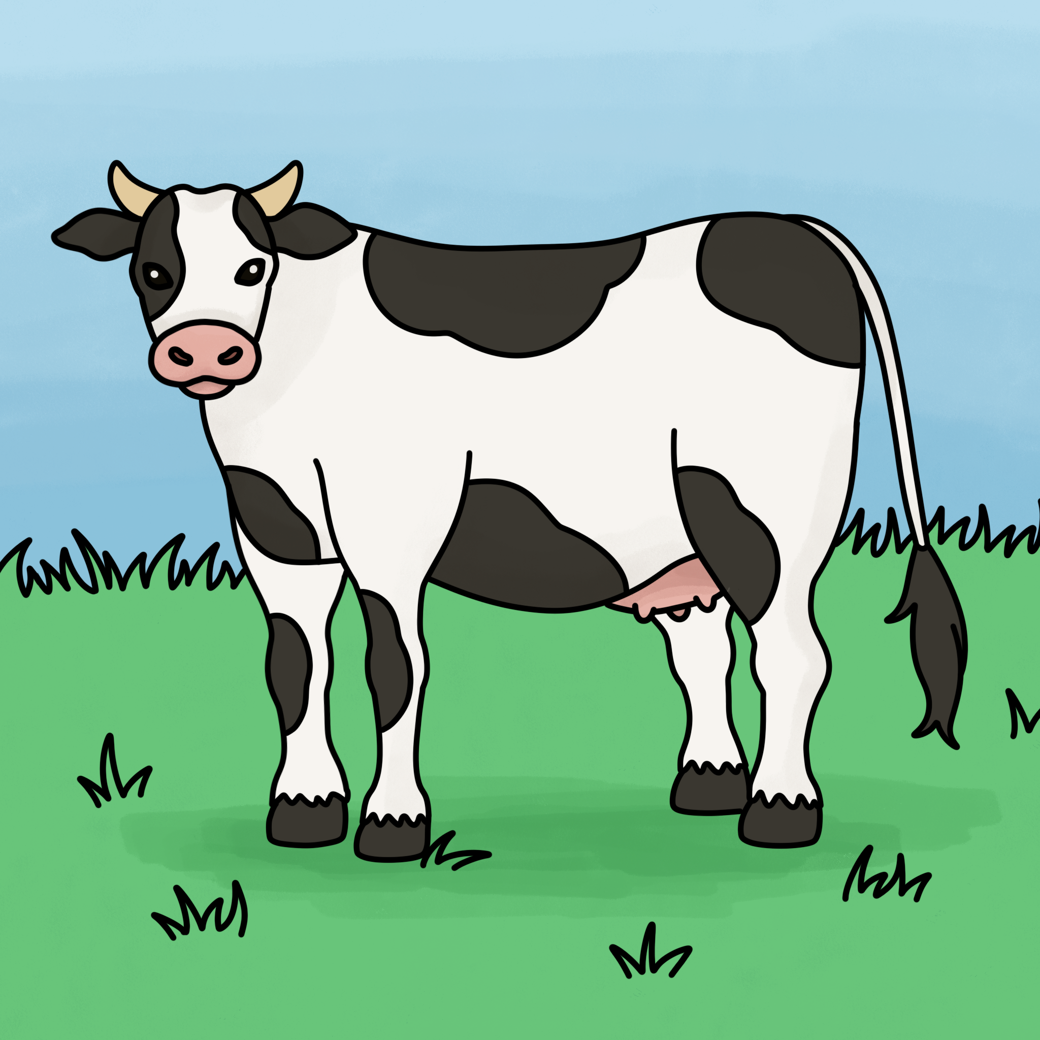 How to Draw a Cow - Drawing with Dawn