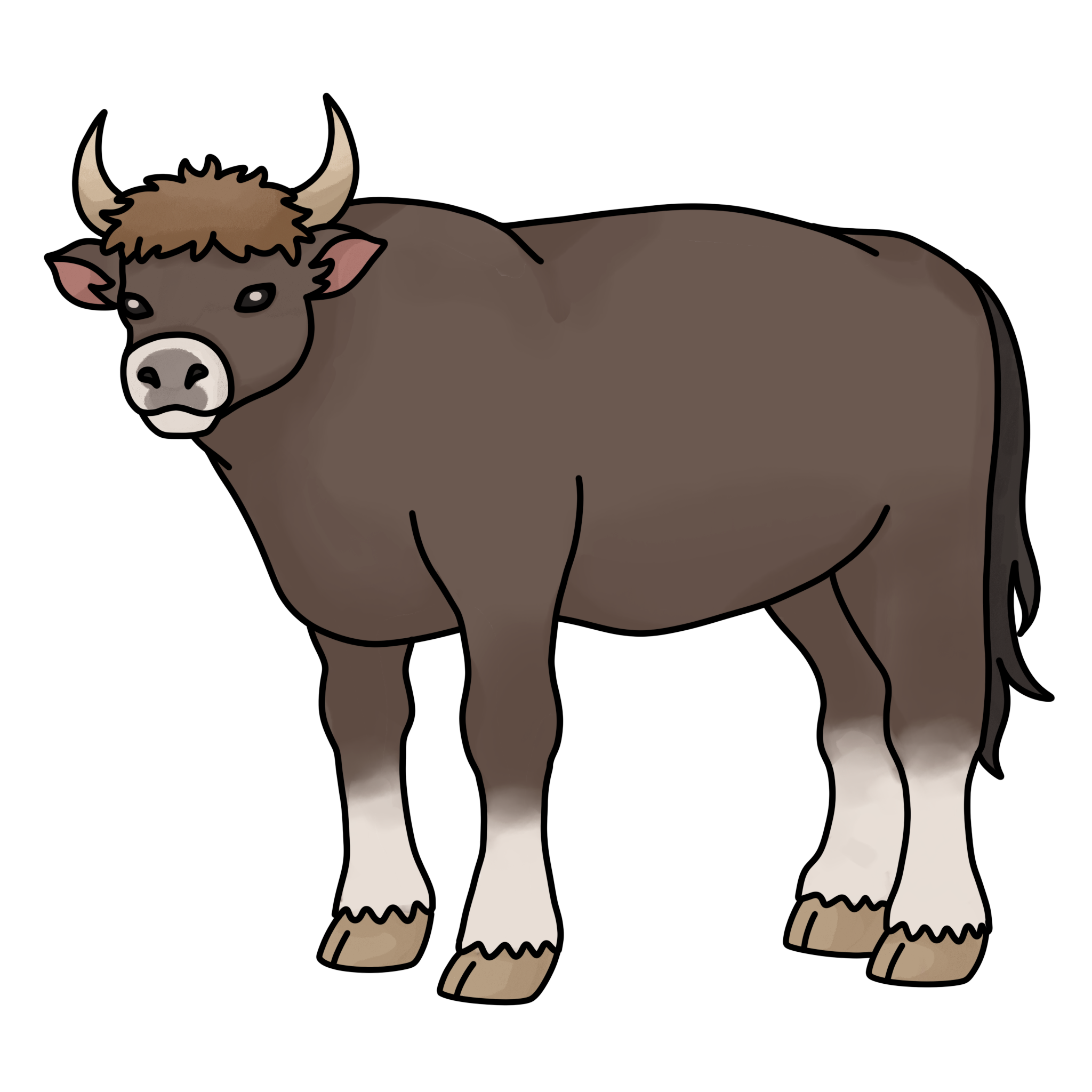 How to Draw an Ox - Drawing with Dawn