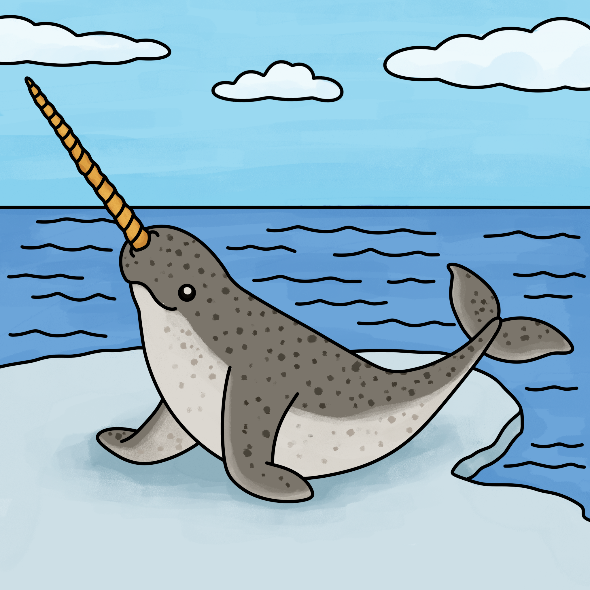 Narwhal Drawing - Drawing with Dawn