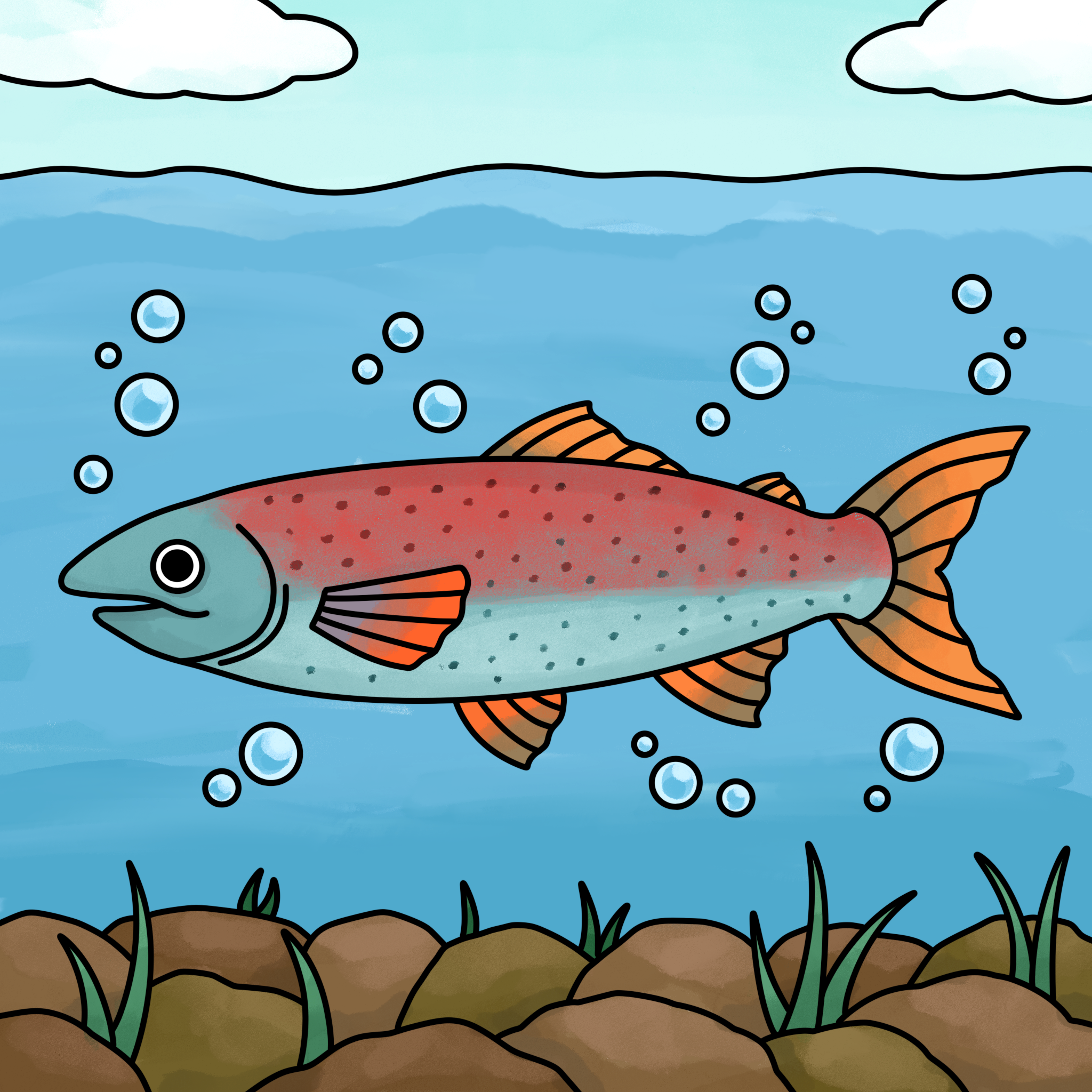Salmon Drawing - Drawing with Dawn