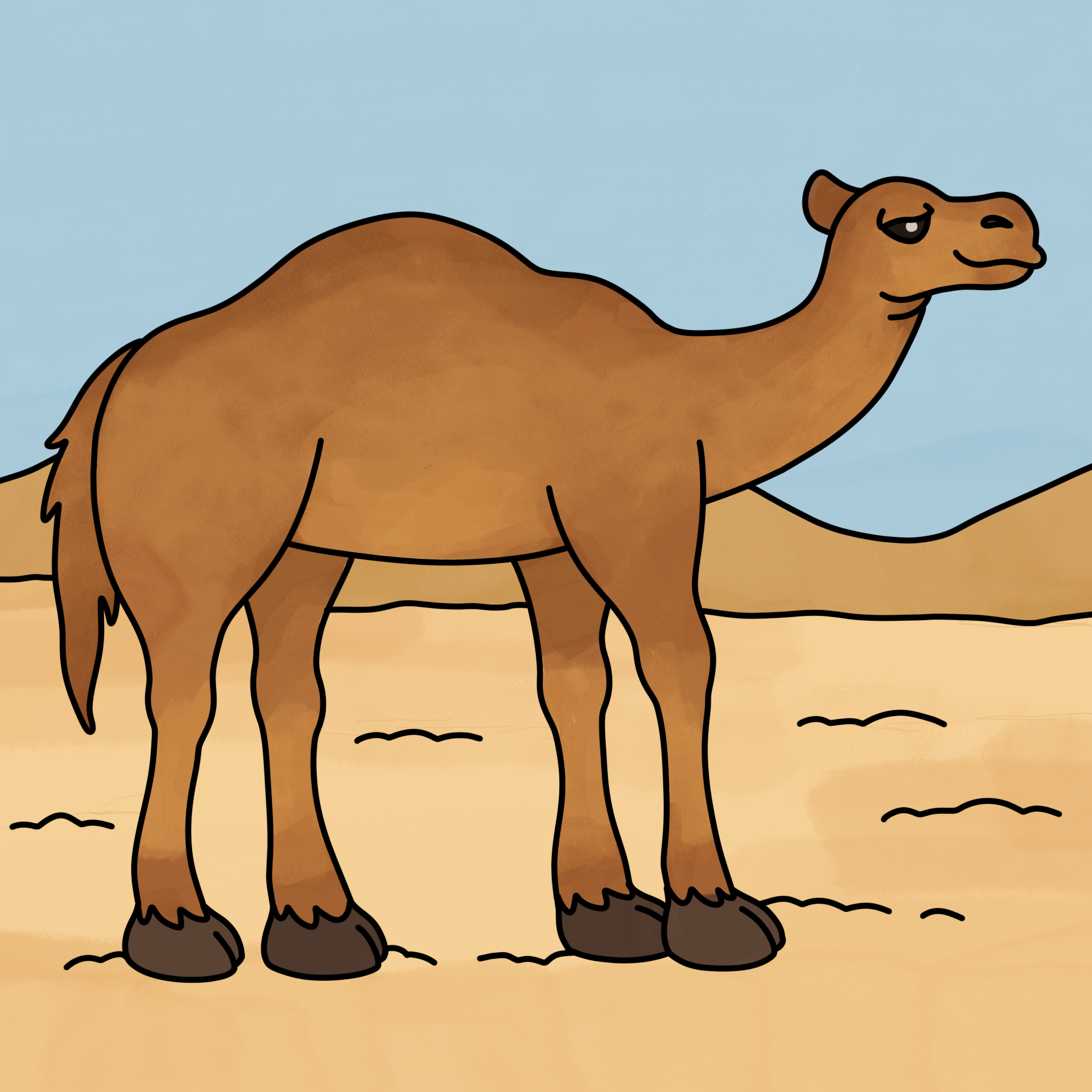 How to Draw a Camel - Drawing with Dawn