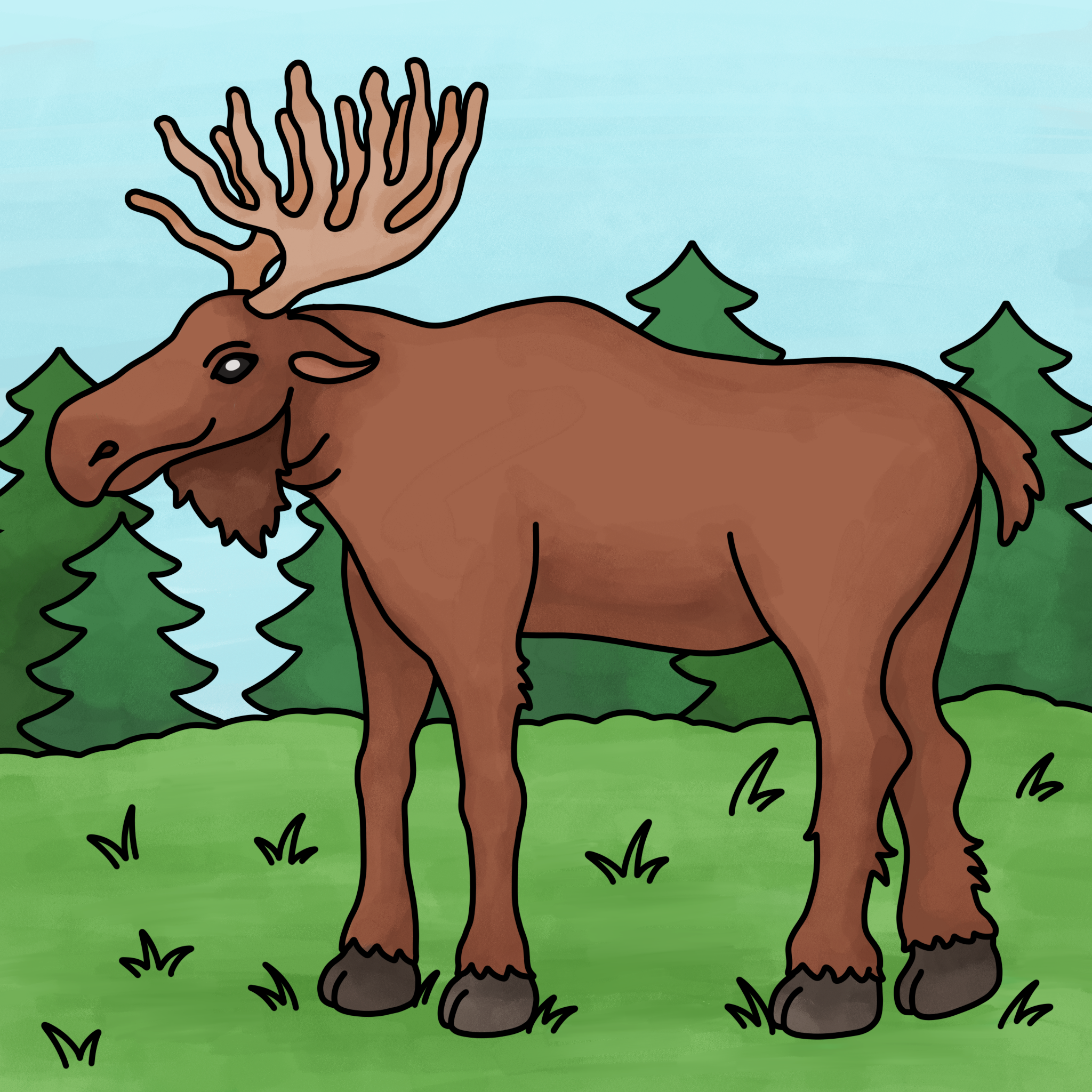 How to Draw a Moose - Drawing with Dawn