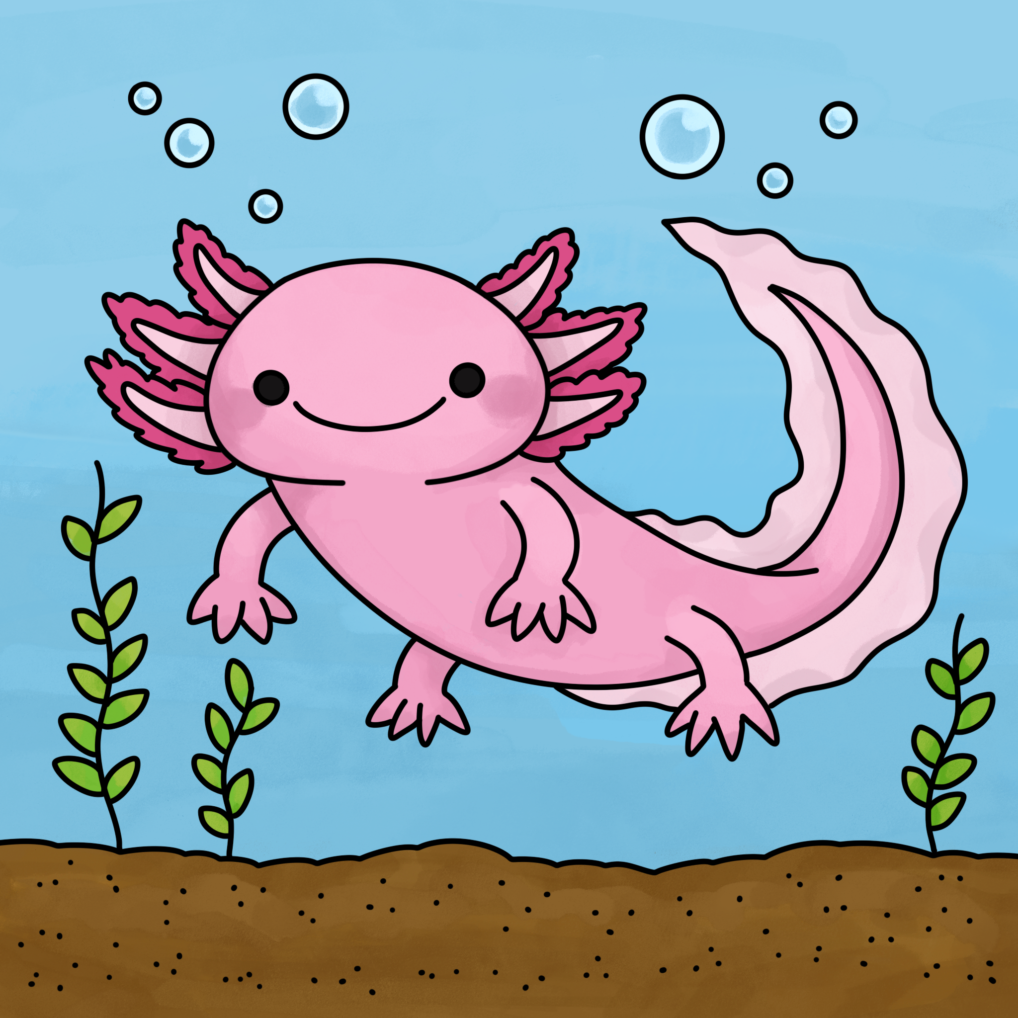 How to Draw an Axolotl - Drawing with Dawn